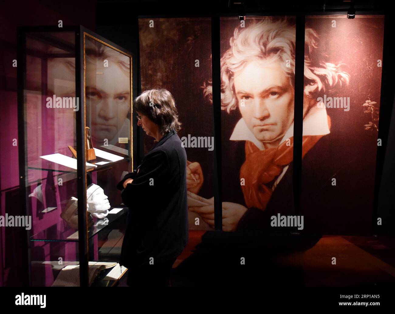 Beethoven house museum hi-res stock photography and images - Alamy