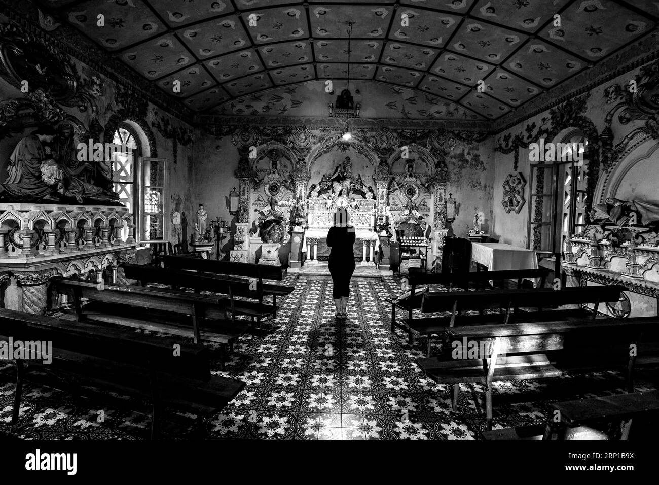 Volcano life Black and White Stock Photos & Images - Alamy