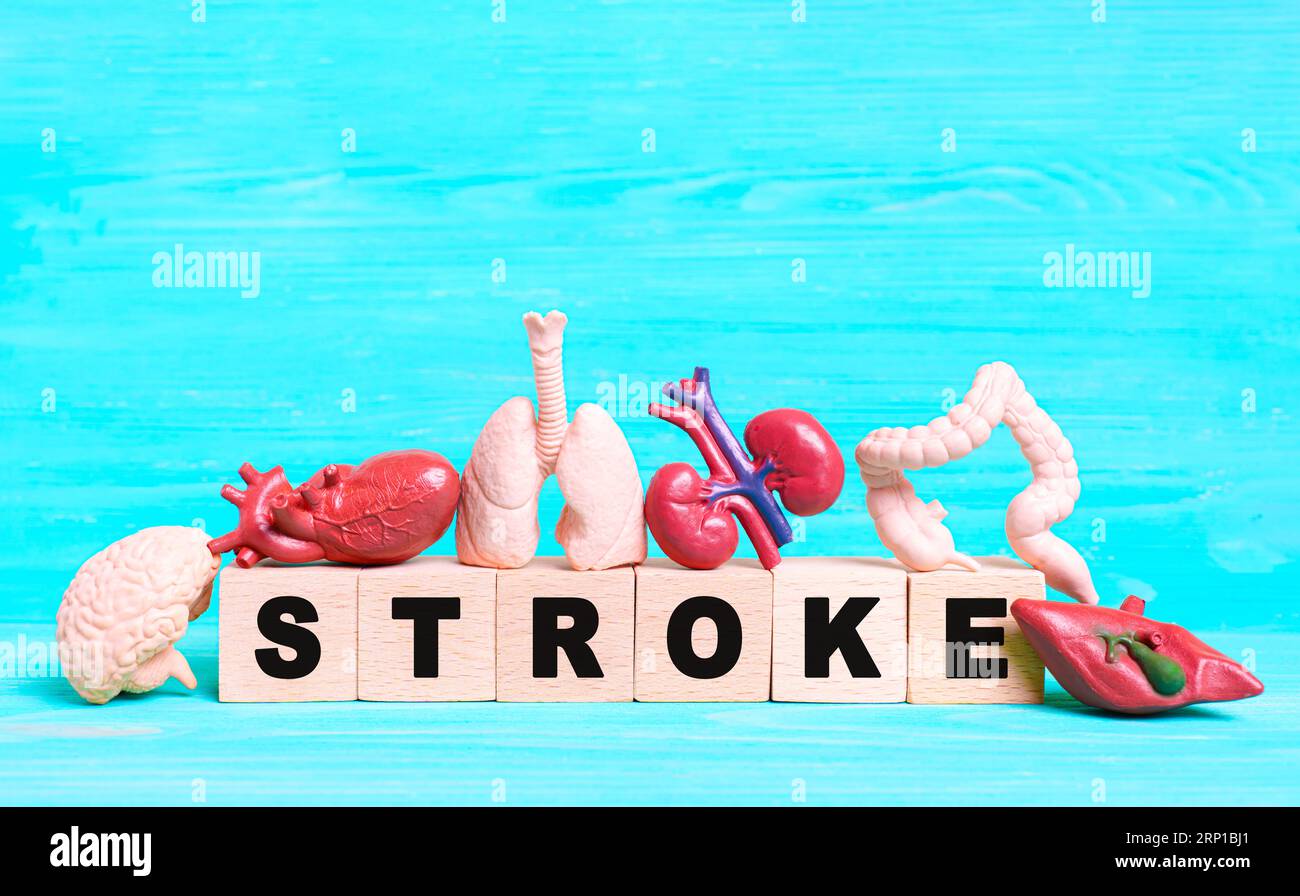 Word "STROKE" spelled out in wooden blocks, with miniature anatomical ...