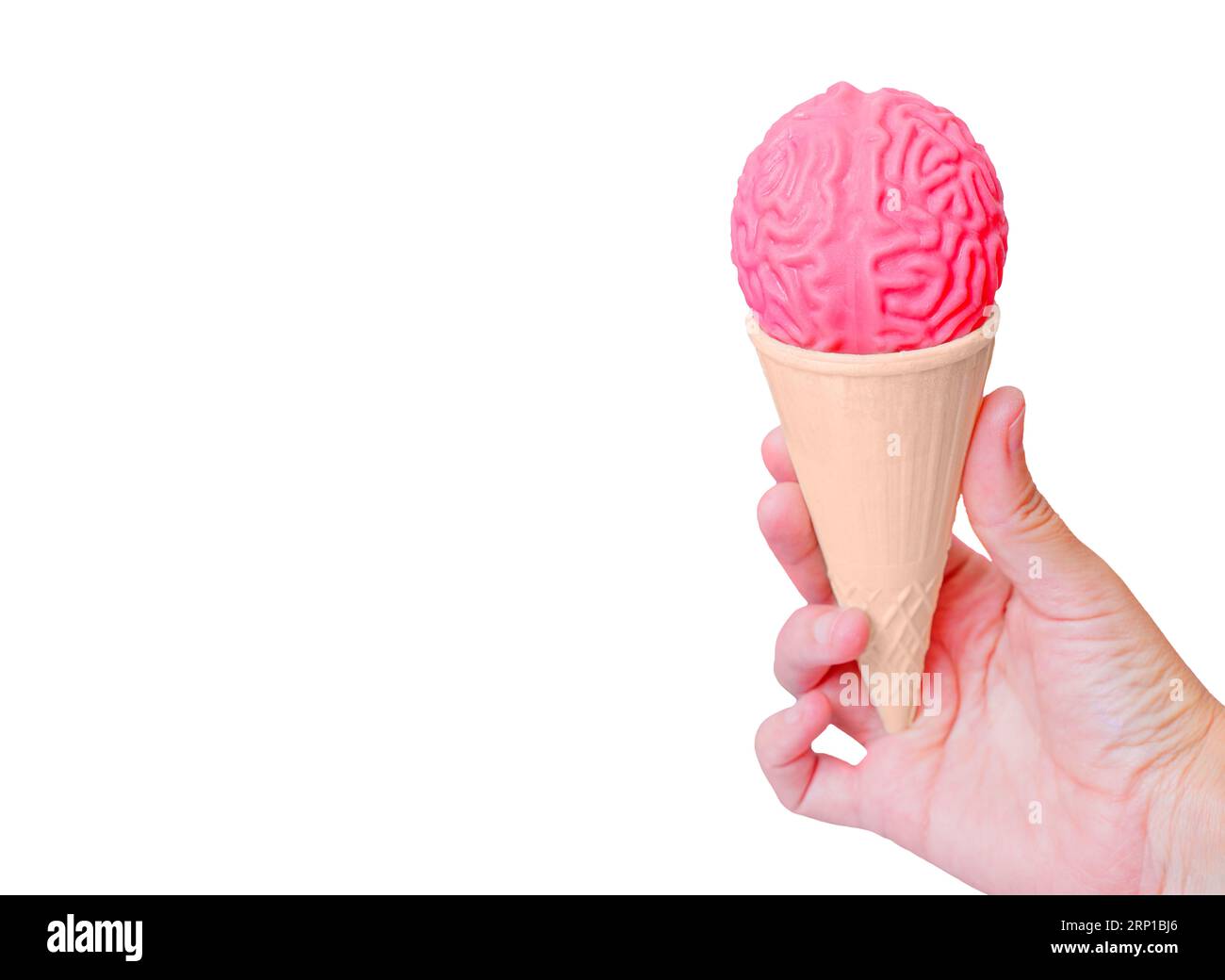 Human brain model in a waffle ice cream cone held in hand isolated on ...