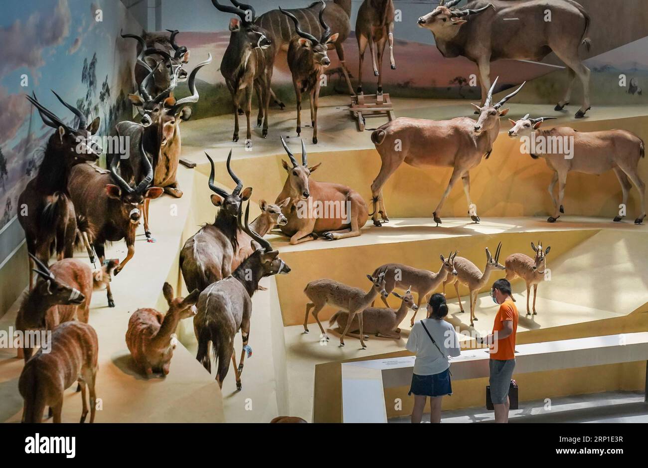 (180629) -- WUHAN, June 29, 2018 -- People visit the Kenneth E. Behring ...