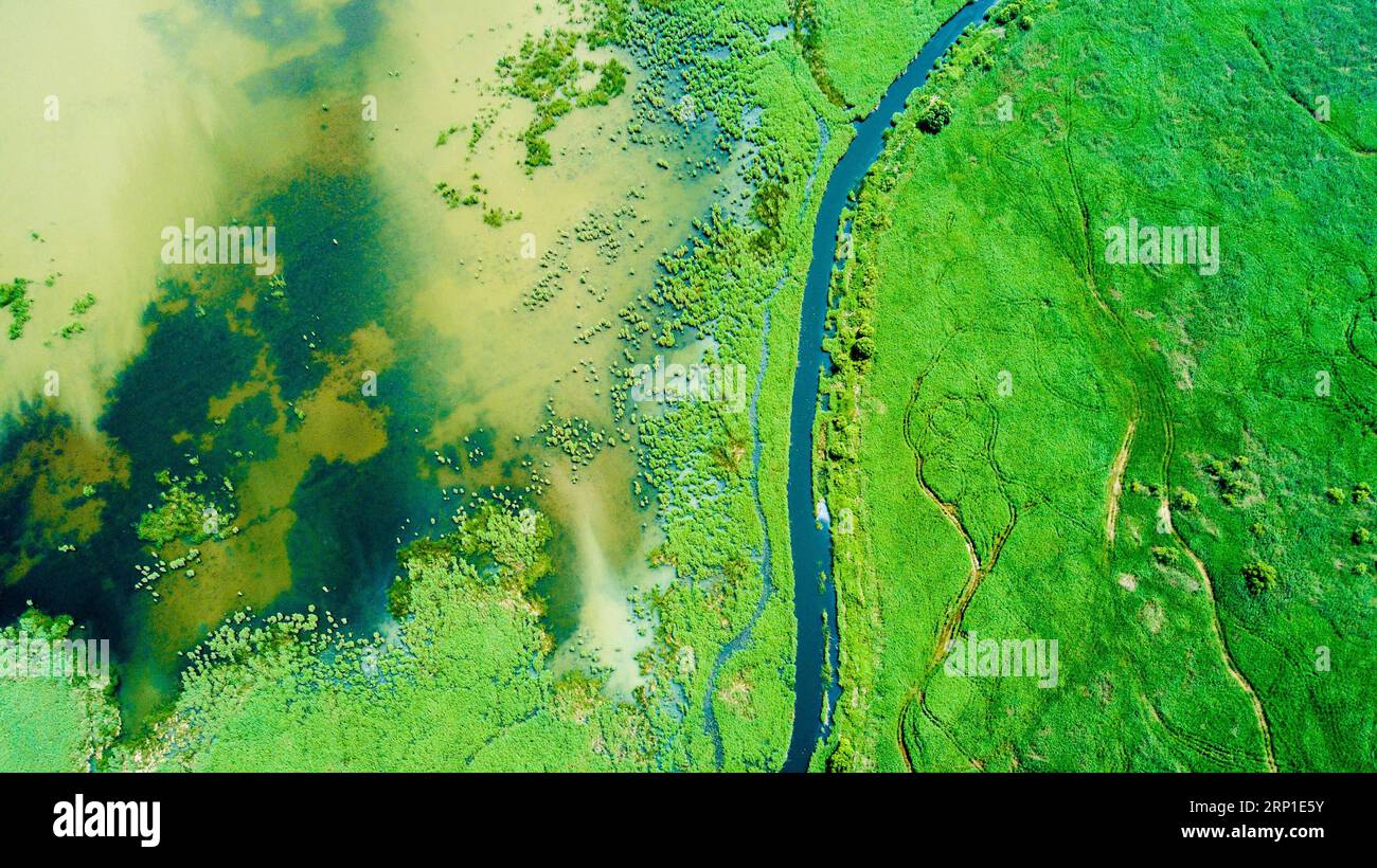 Yellow sea wetland china hi-res stock photography and images - Alamy