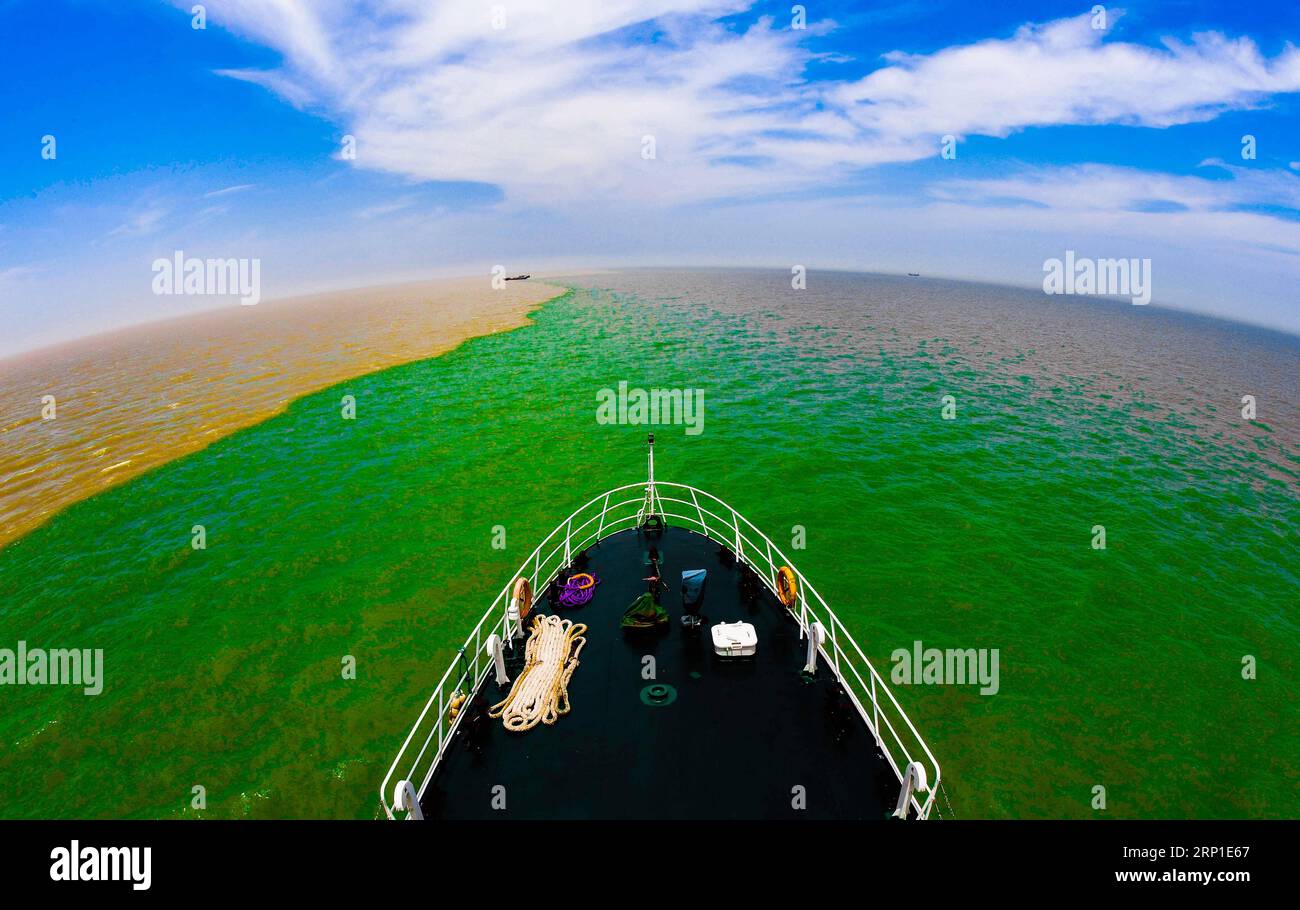 Yellow sea wetland china hi-res stock photography and images - Alamy