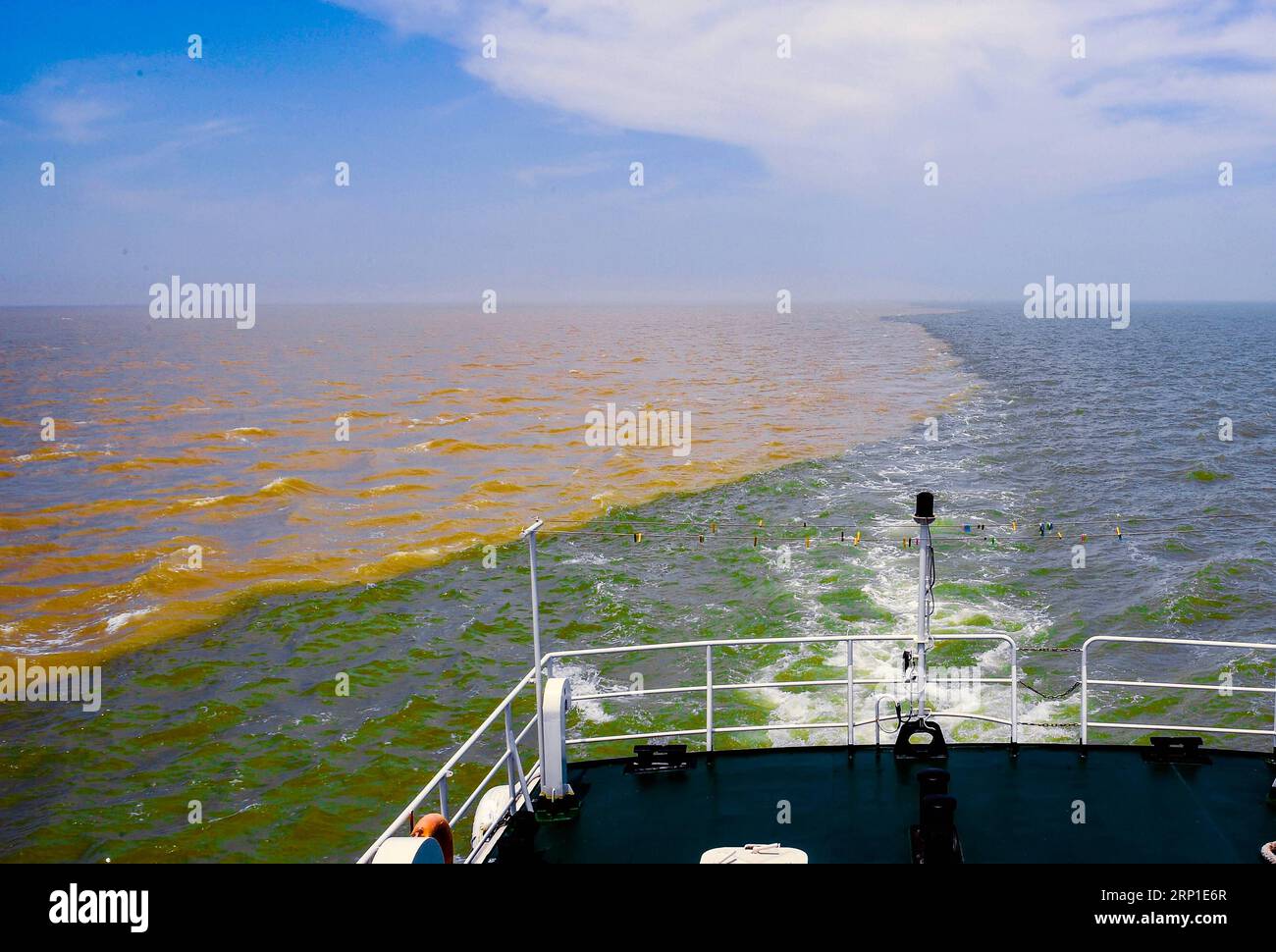 Yellow sea wetland china hi-res stock photography and images - Alamy