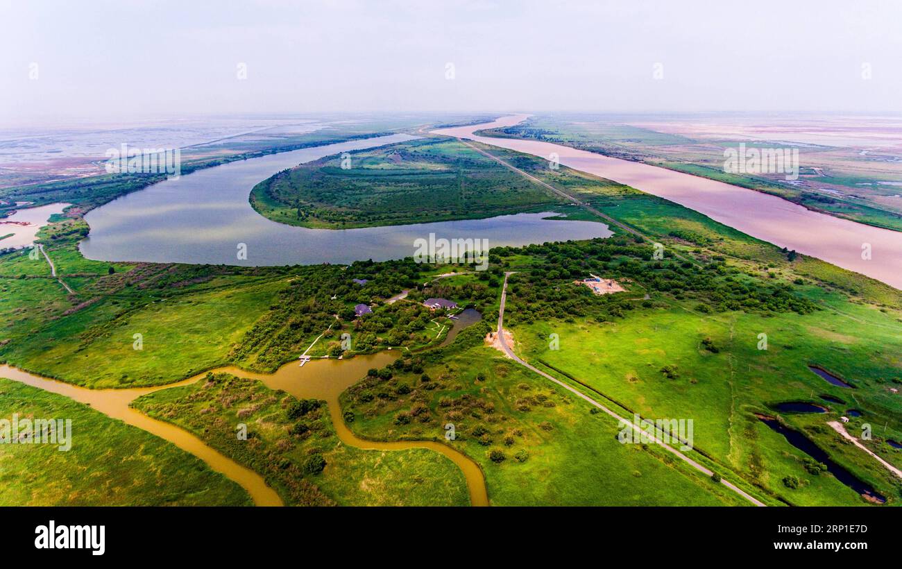 Yellow sea wetland china hi-res stock photography and images - Alamy