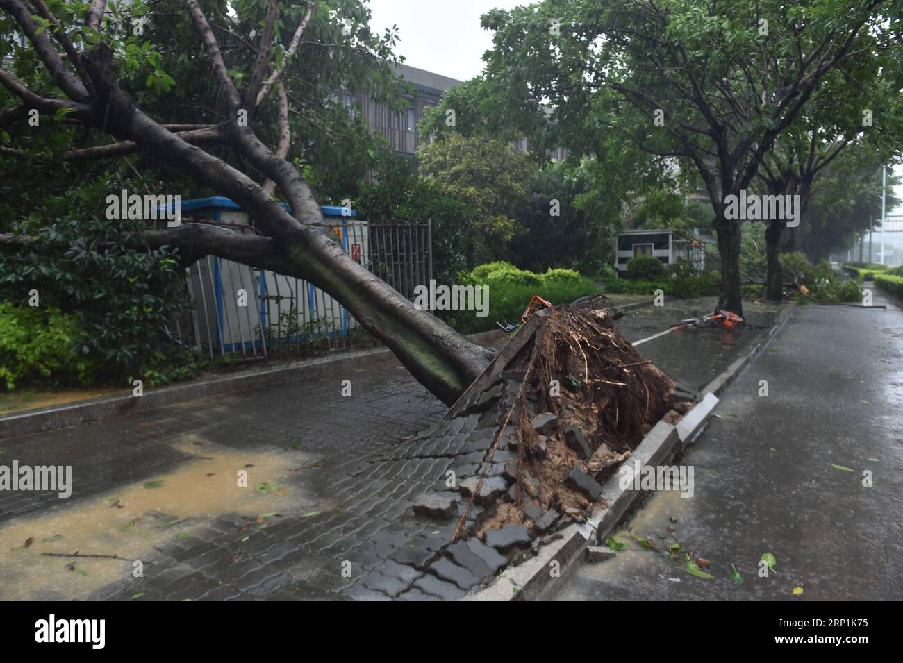 Maria landfal hi-res stock photography and images - Alamy