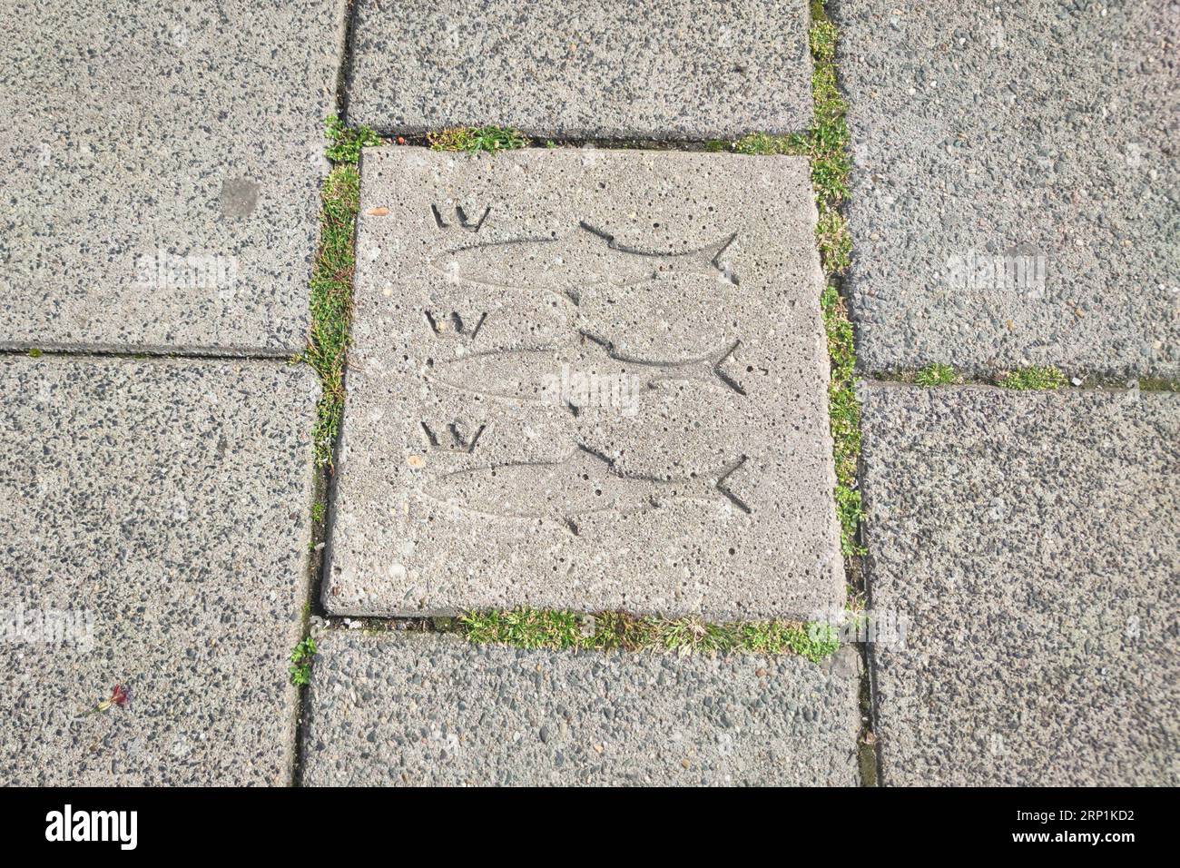 Sidewalk tile depicting three fish: symbol of the fishing town of ...