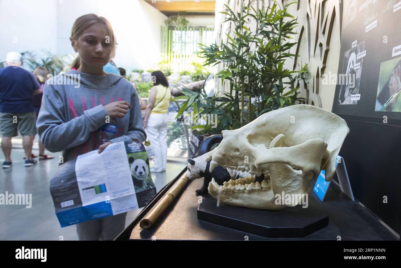 Er shun and da mao toronto zoo hi-res stock photography and images - Alamy