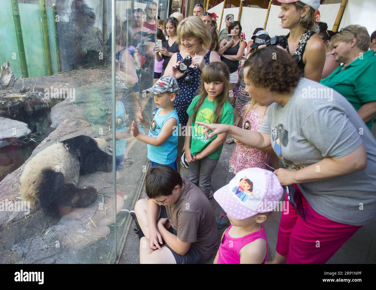 Er shun and da mao toronto zoo hi-res stock photography and images - Alamy