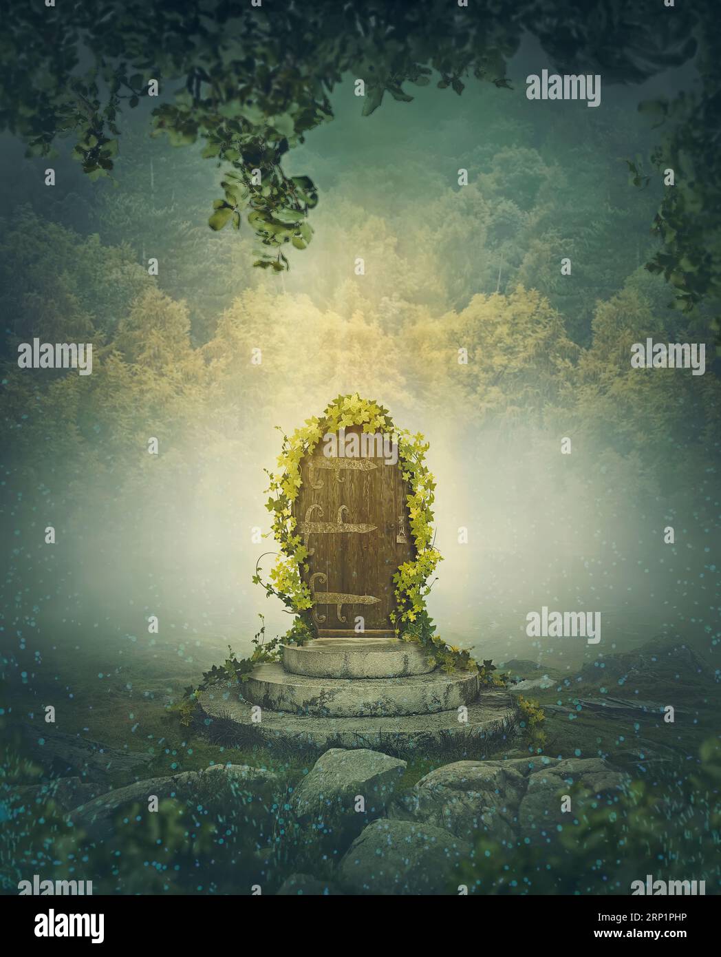 Entrance to the magic forest hi-res stock photography and images - Alamy