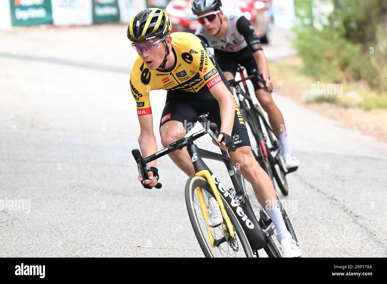 Sepp Kuss USA JUmbo Visma by finishing with teh small GC group takes ...