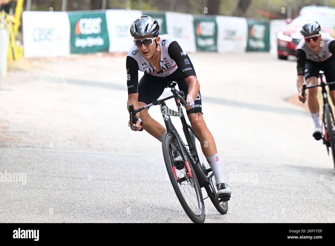 Marc Soler spain UAE Team Emirates with teh eite GC group and is now in ...