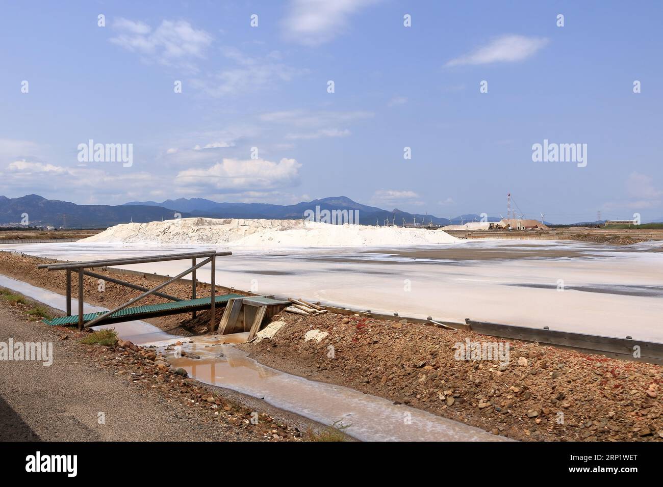 Urban ecosystem sea pond hi-res stock photography and images - Alamy