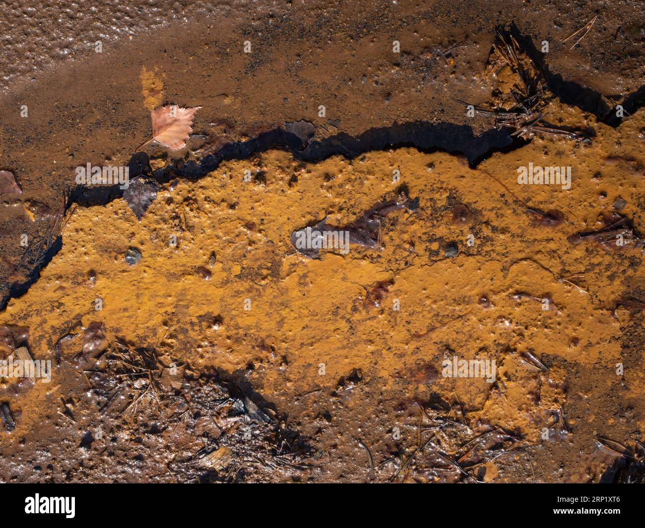 Grass and leaves cought in ferric mud. The chemical rests at colapsed ...