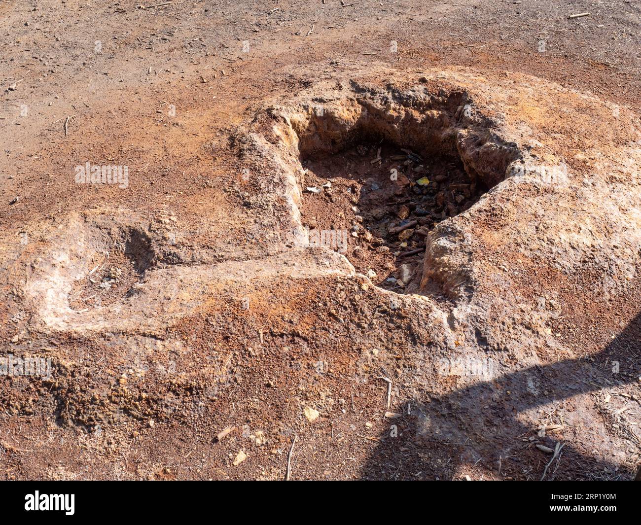 Dry ferric mud and rusty sand. Leknica Muzakow coal quarry. Colorful ...