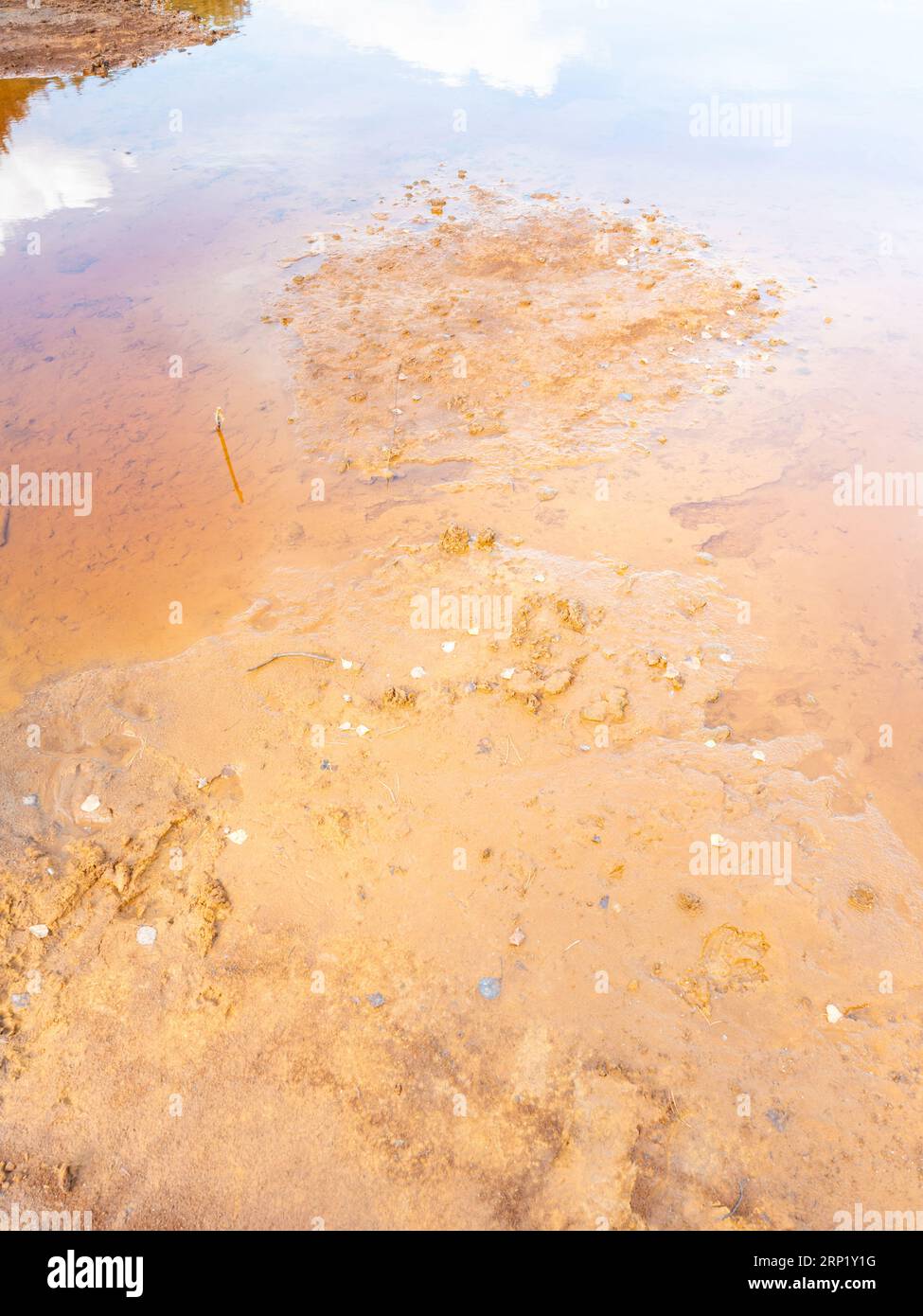 Ferric residua in water flooded Babina mine, Poland. Ecological ...