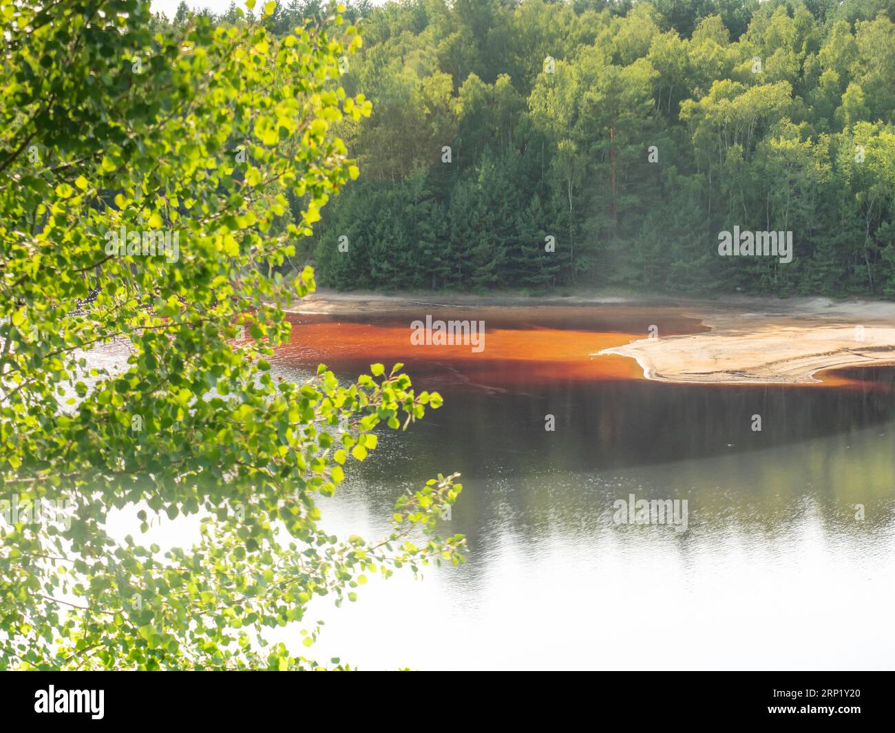 Poisoned lake in opencast mine Muzakow, Leknica, New Herons, Muskau ...