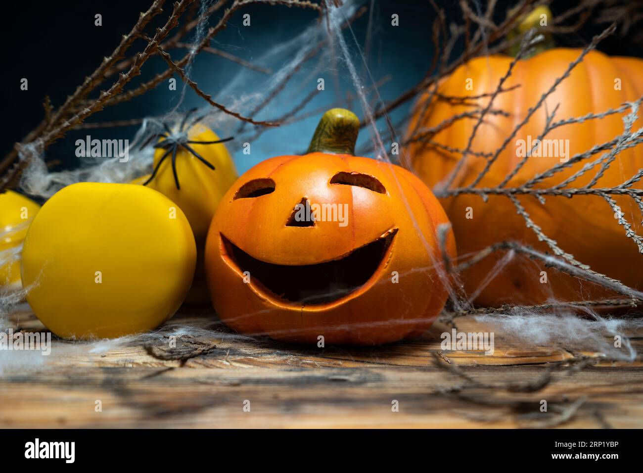 Gym dumbbells and Halloween pumpkins covered with spider web. Healthy ...
