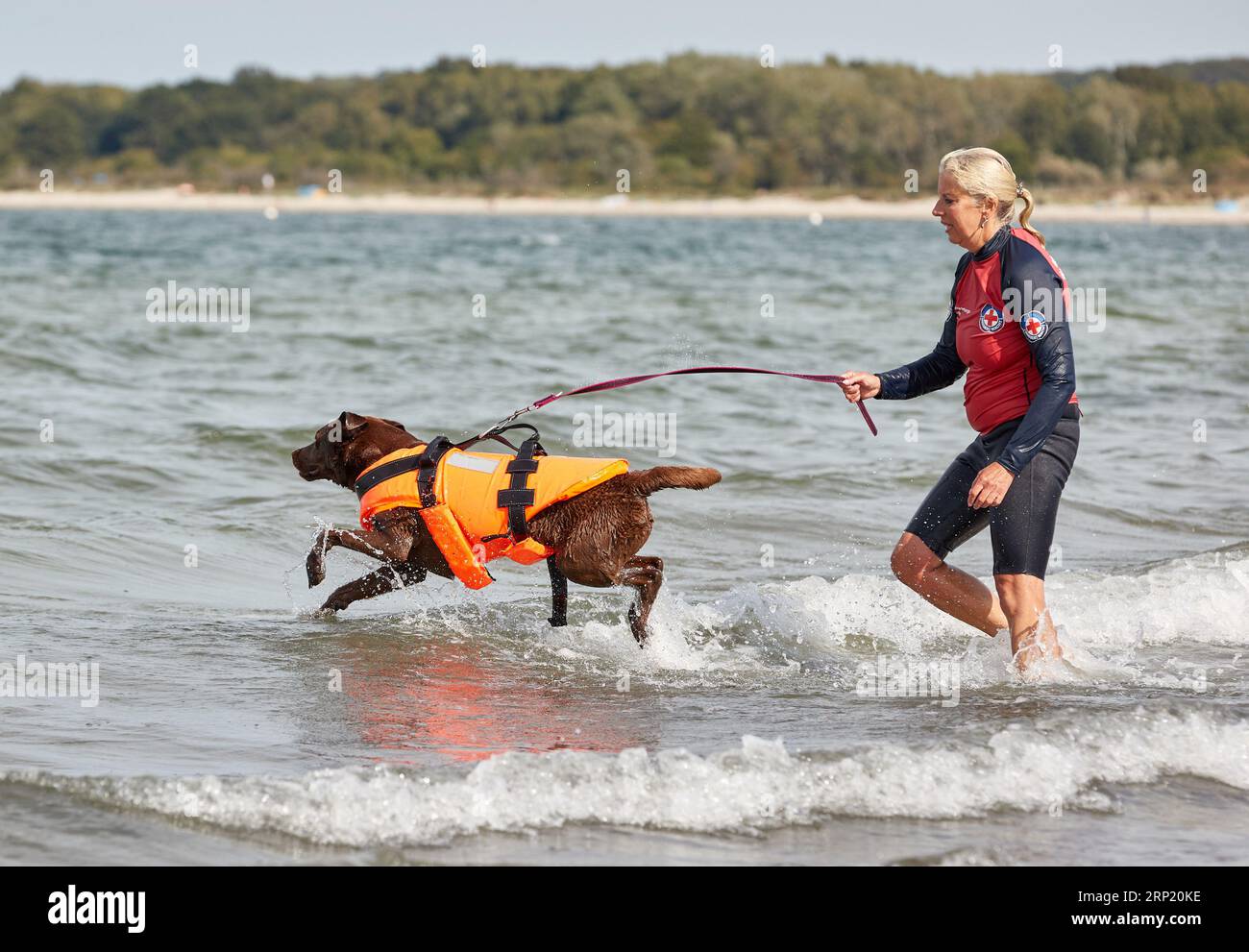 Nala beach hi-res stock photography and images - Alamy