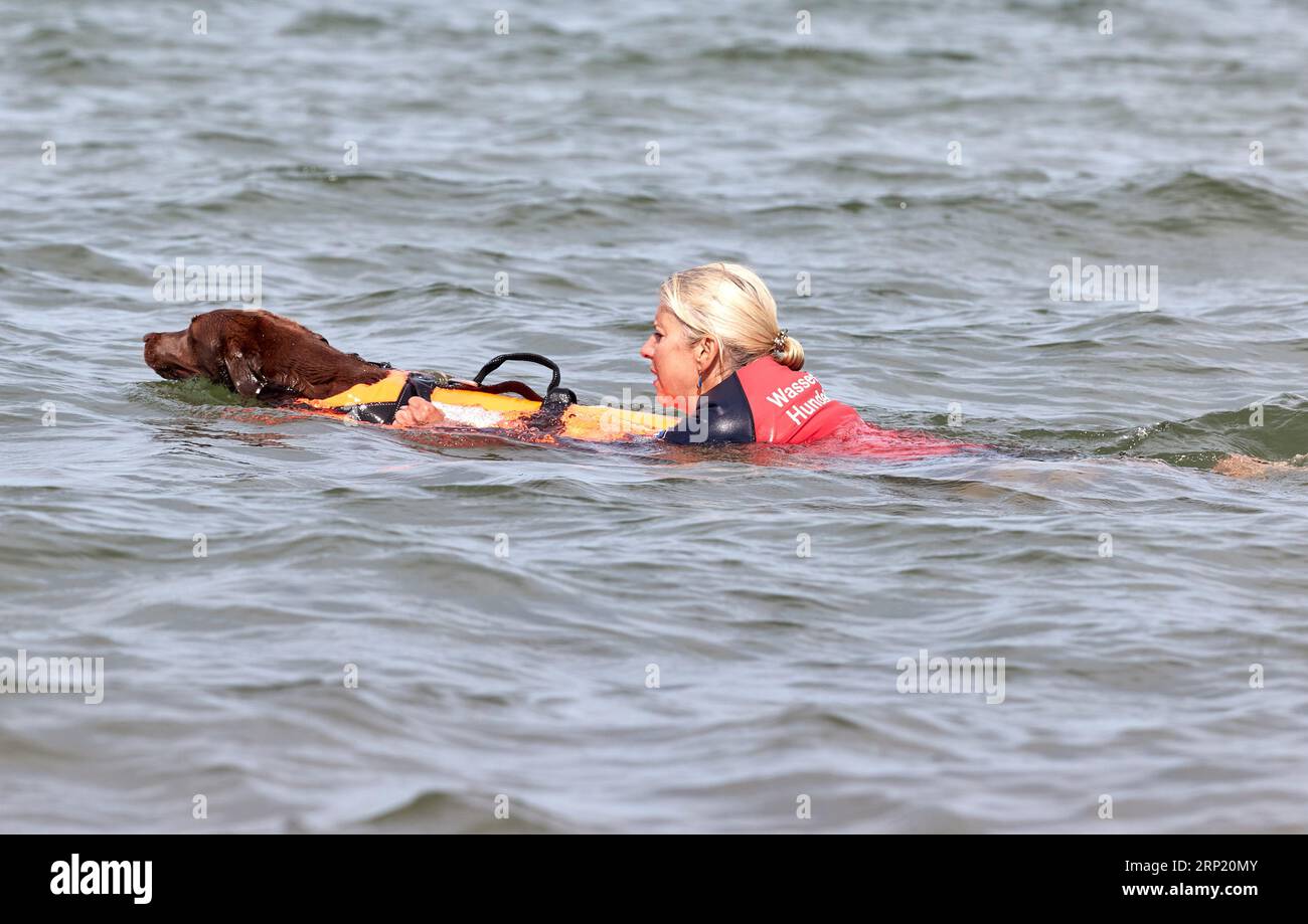 PRODUCTION - 24 August 2023, Schleswig-Holstein, Travemünde: Ulrike ...