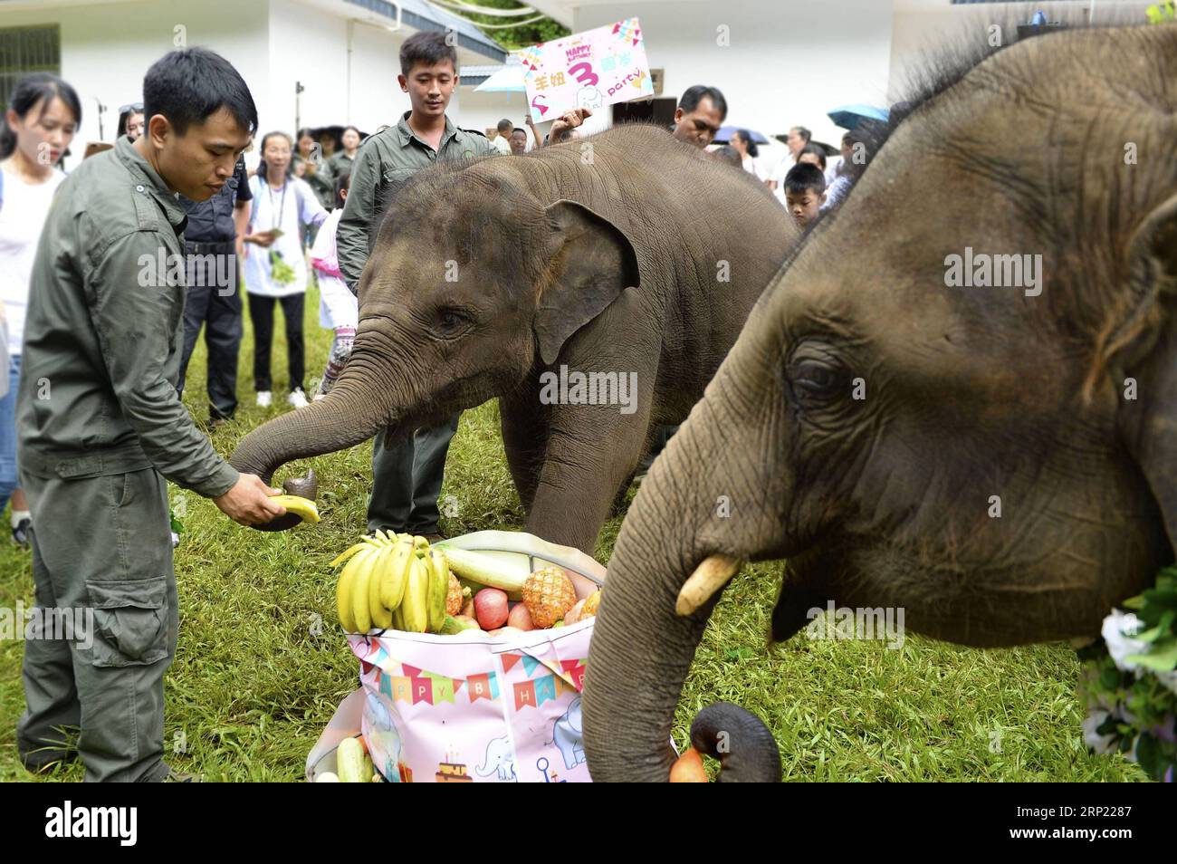 12 year old birthday party hi-res stock photography and images - Alamy