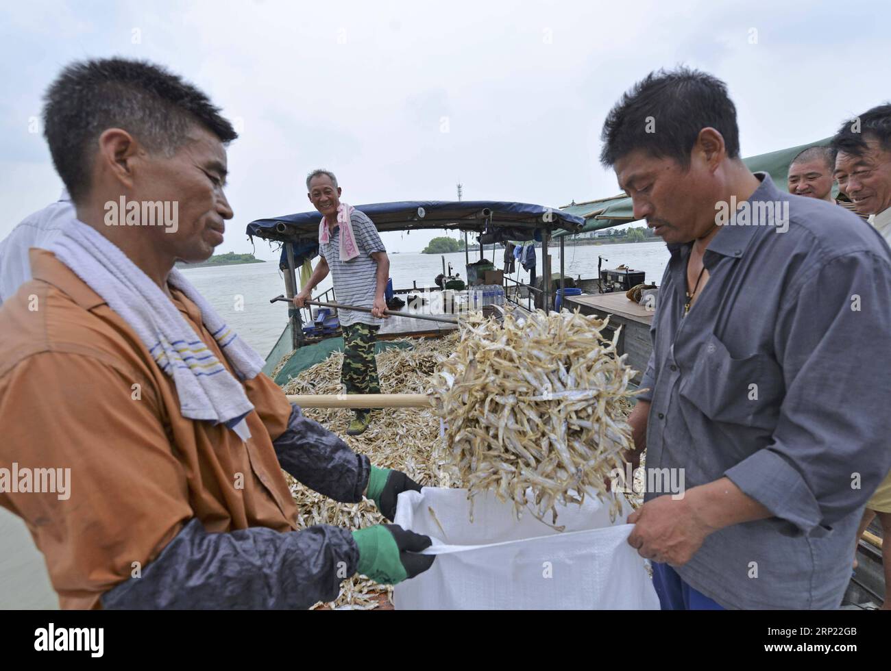 Tapertail hi-res stock photography and images - Alamy