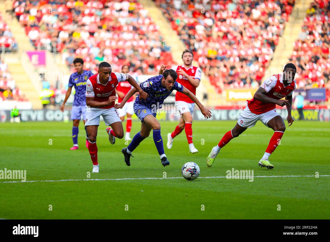 AESSEAL New York Stadium, Rotherham, England - 2nd September 2023 Liam ...