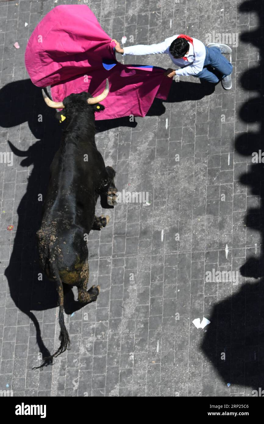 Bull running mexico hi-res stock photography and images - Alamy