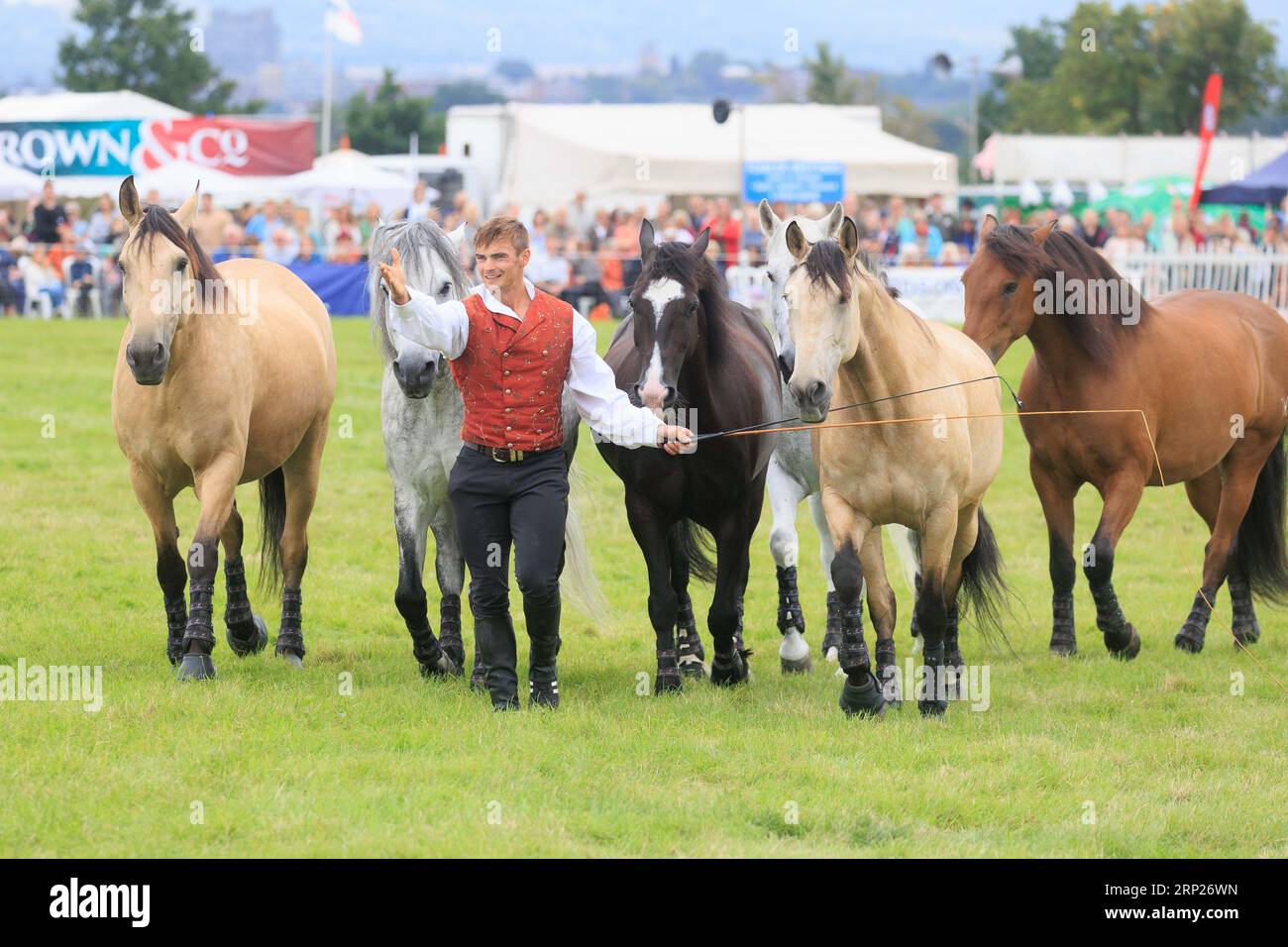 31st August 2023 Atkinson action horses entertain the crowds at Bucks ...