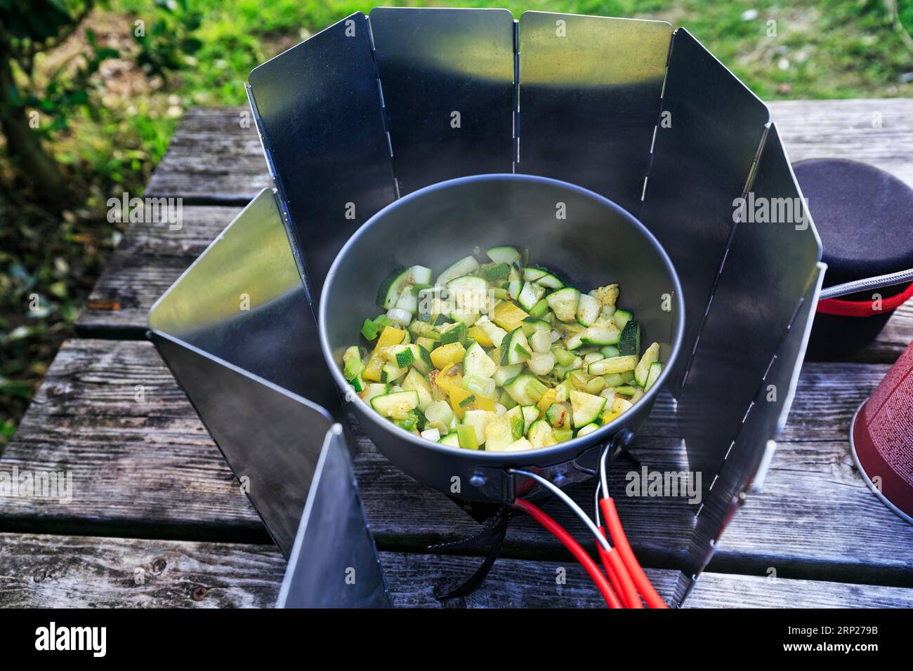 Vegetables, courgettes, spring onions, spring onions in a saucepan ...