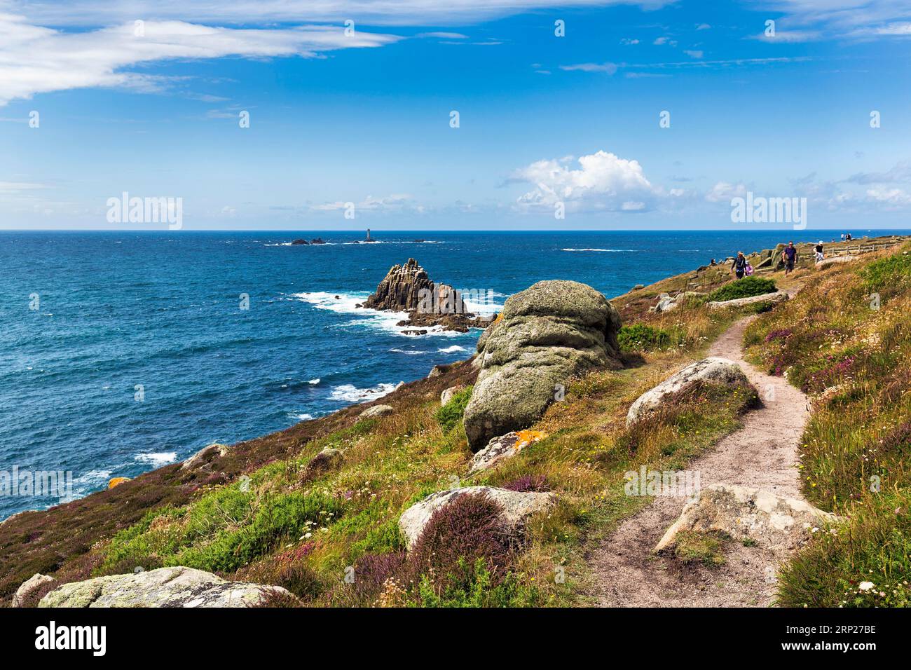 Coastline, heather blossom on the Atlantic coast, South West Coast Path ...