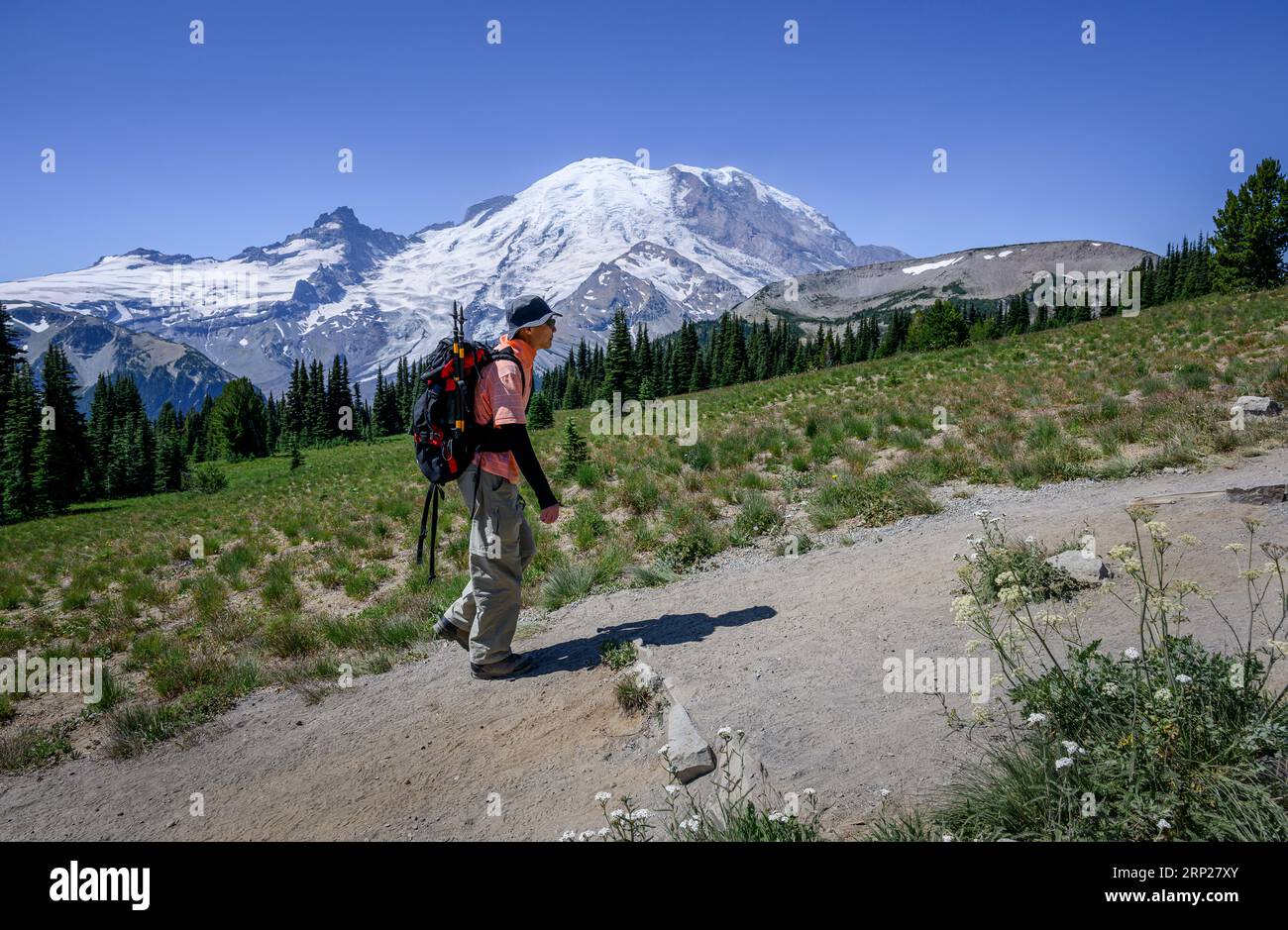 Man hiking Sunrise Trail at Mount Rainier National Park in summer ...