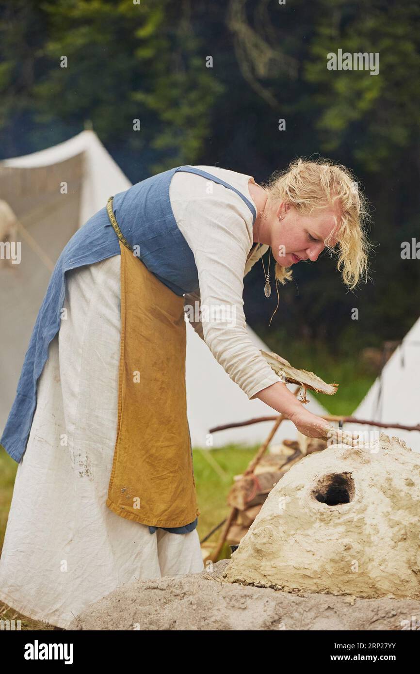 Viking stove hi-res stock photography and images - Alamy