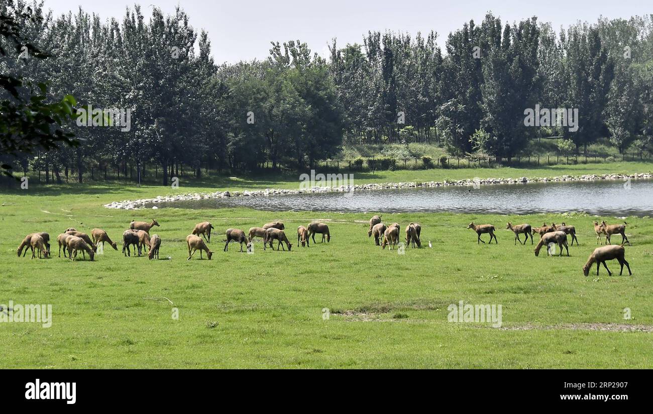 (180825) -- BEIJING, Aug. 25, 2018 -- Photo taken on Aug. 23, 2018 ...