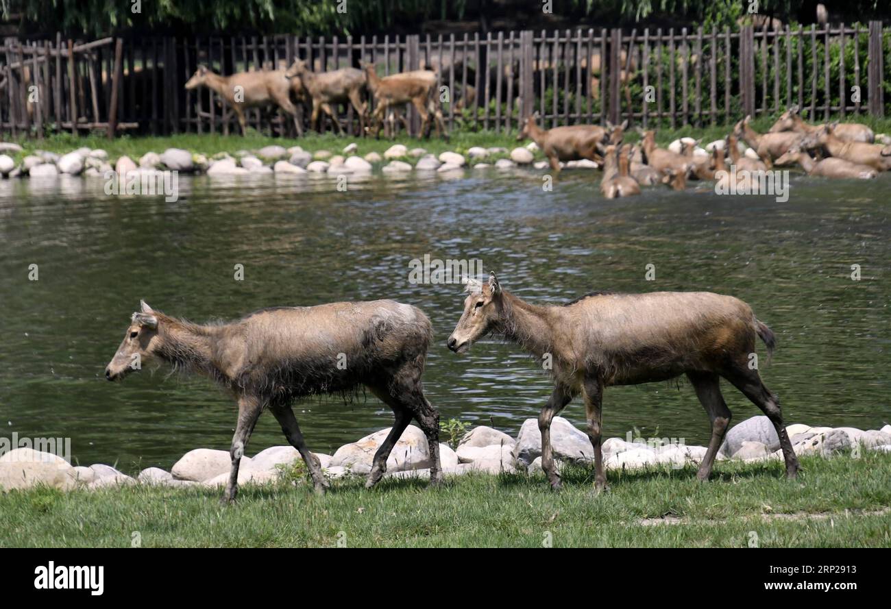 (180825) -- BEIJING, Aug. 25, 2018 -- Photo taken on Aug. 23, 2018 ...