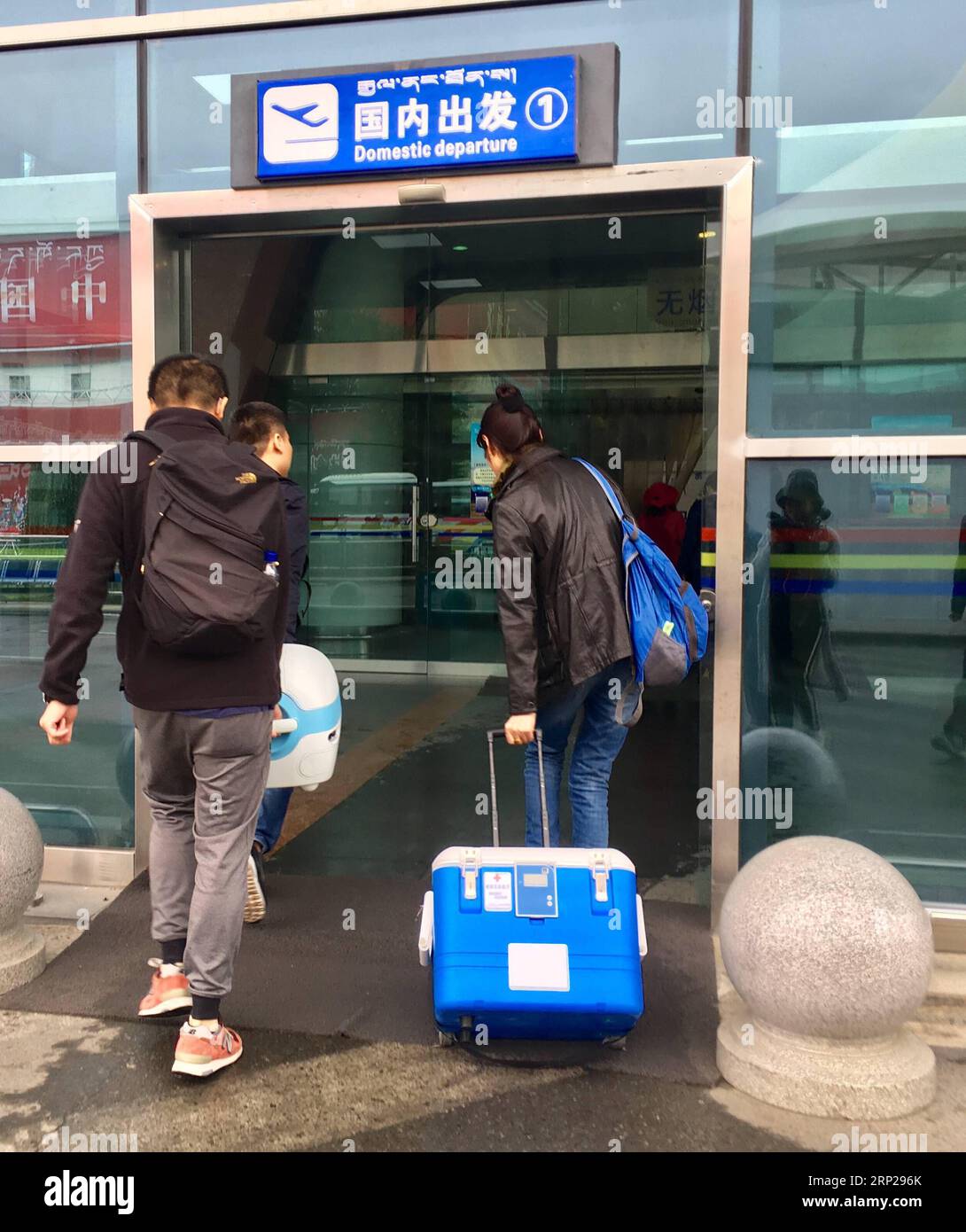 (180825) -- LHASA, Aug. 25, 2018 -- Staff carrying organs obtained from ...