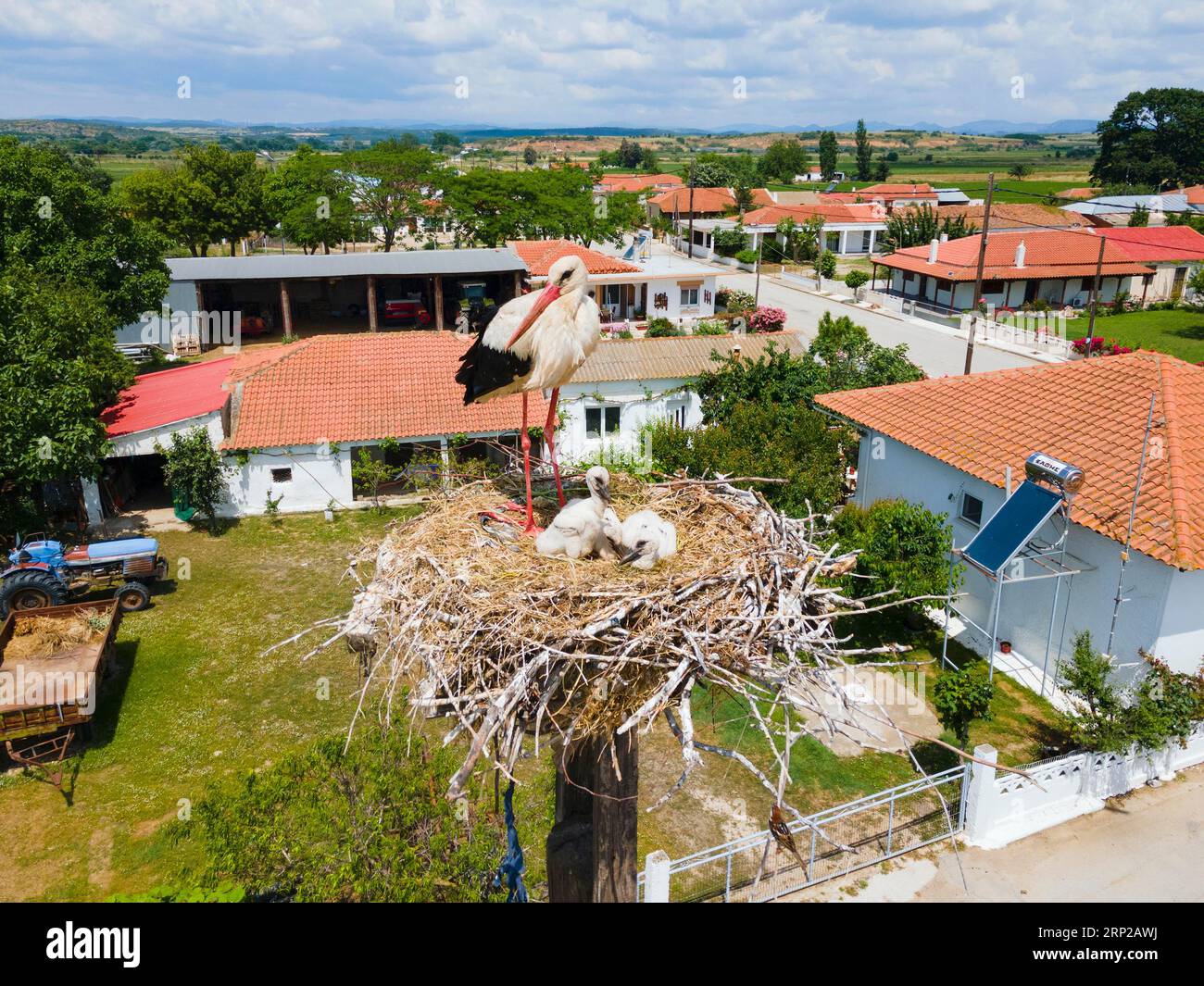 Aerial view, storks in nest, stork village Poros, Feres, Alexandroupoli ...