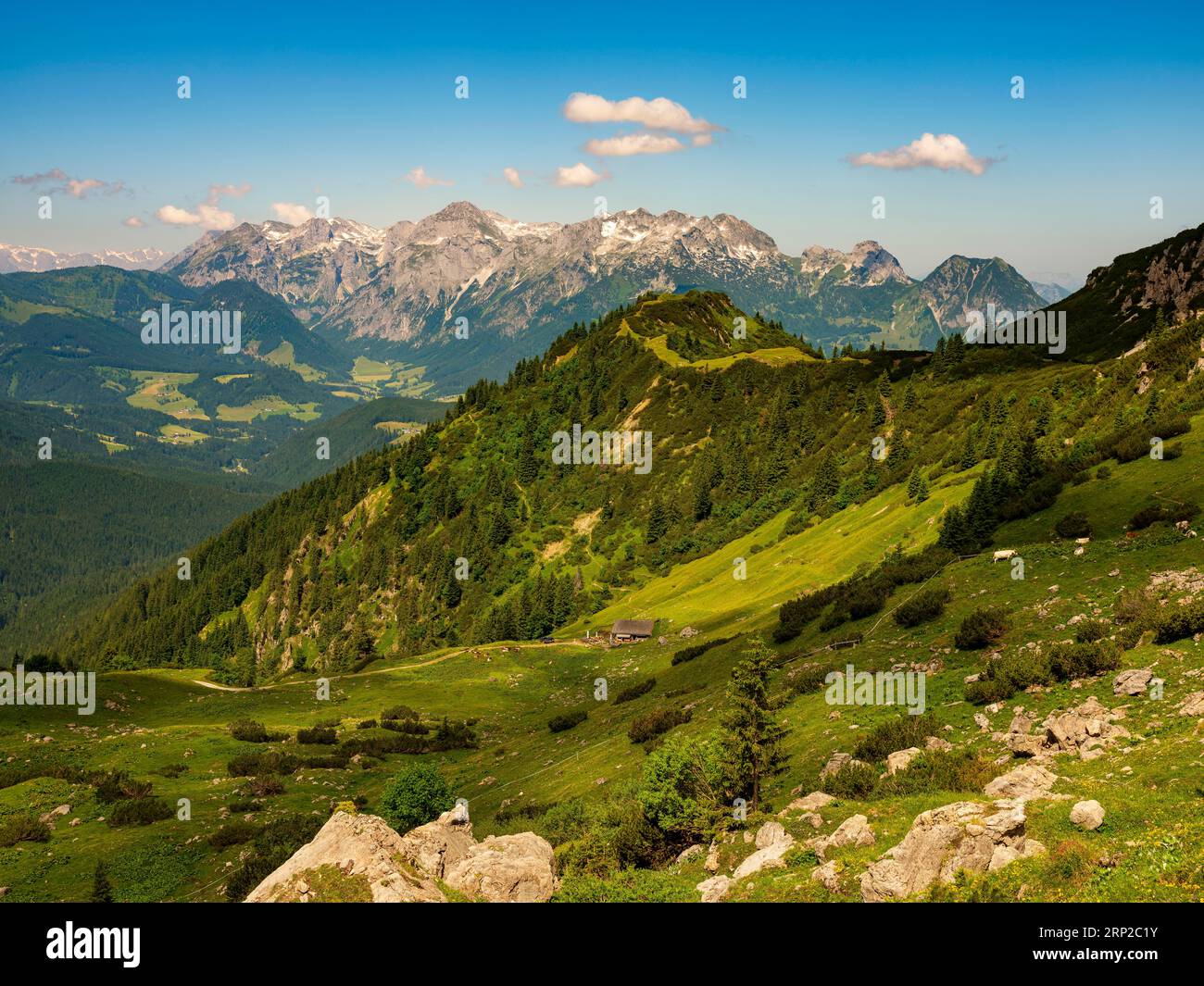 View over alpine pastures to the Tennengebirge, Salzburger Land ...