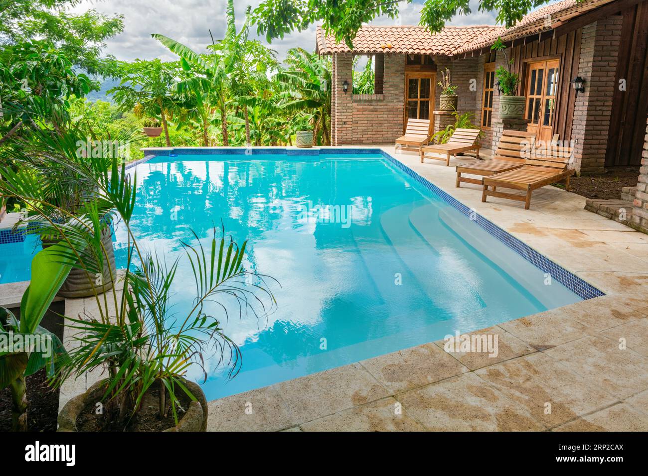 Beautiful swimming pool surrounded by nature. A crystal clear swimming ...