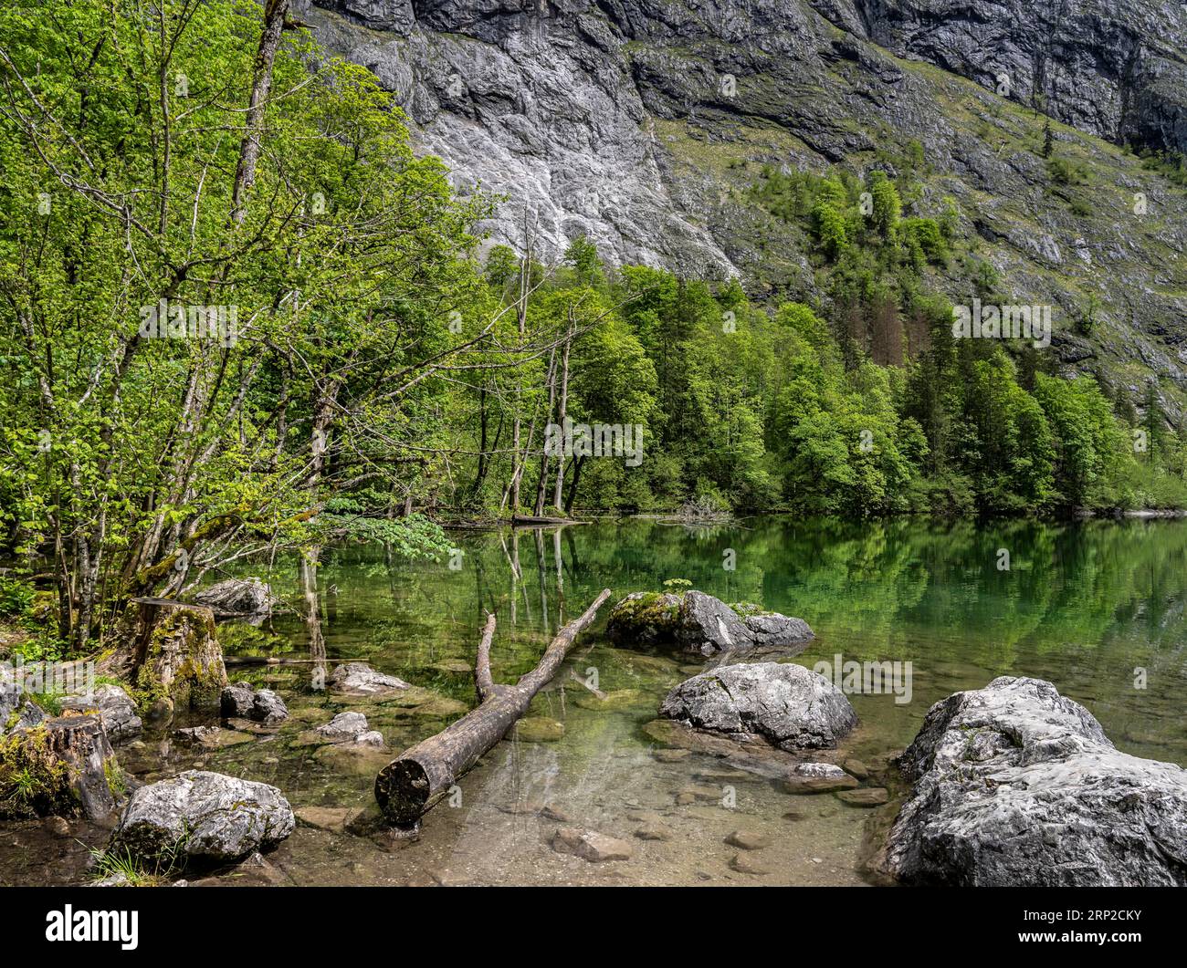 Landscape and nature reserves around the Obersee, Berchtesgaden ...