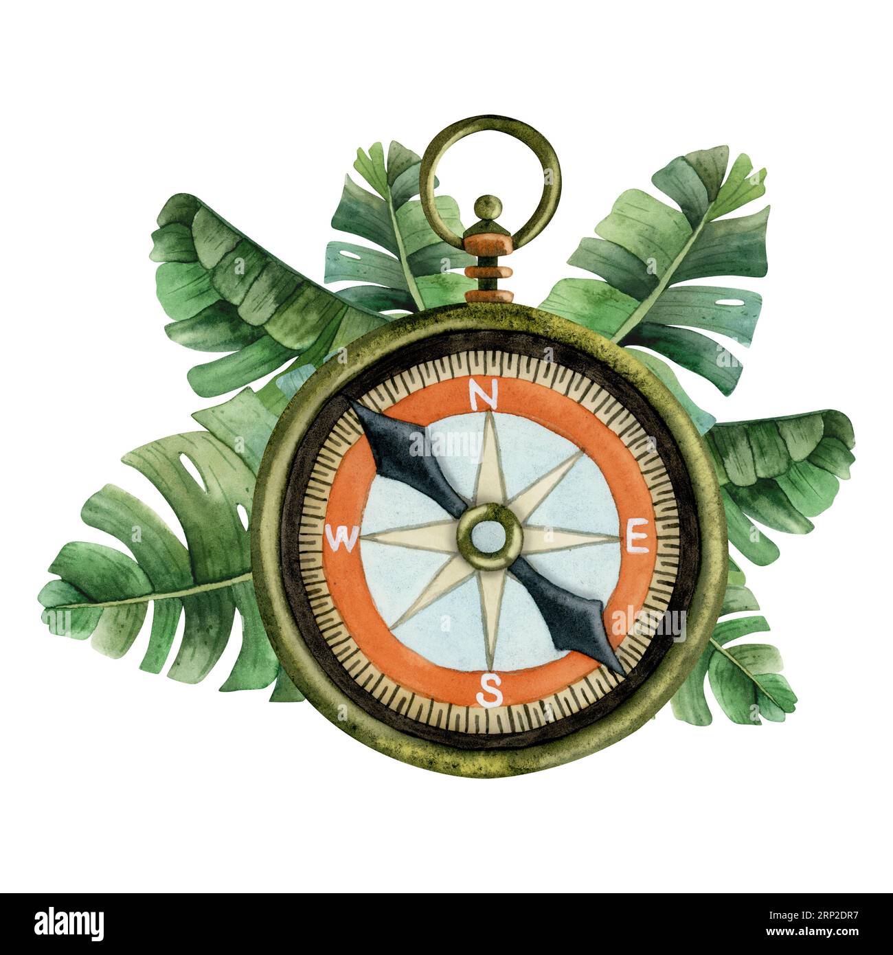 Vintage pocket compass with tropical palm leaves watercolor ...