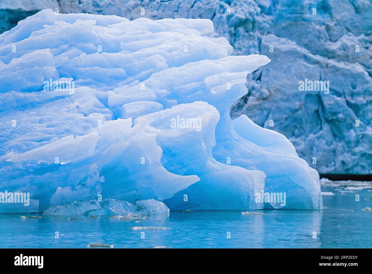 Iceberg floating in the water by a glacier in arctic, Svalbard Stock ...