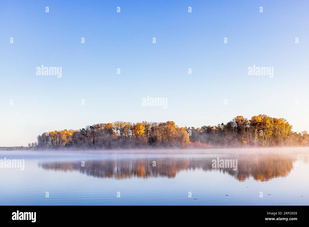 Mist over the lake with a forest grove in autumn colors in a beautiful ...