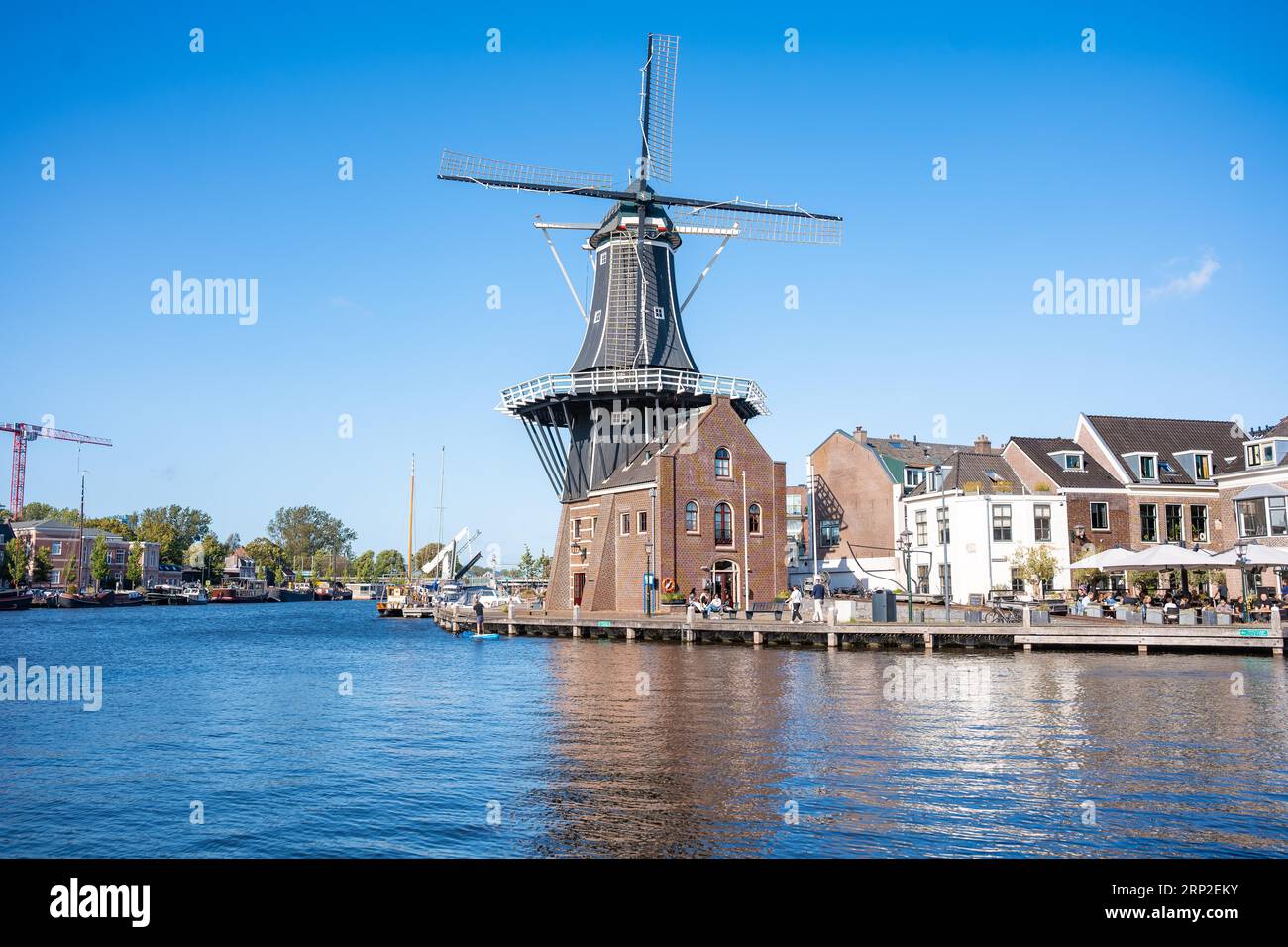 Historic mill on the waterfront, Haarlem, Netherlands Stock Photo - Alamy