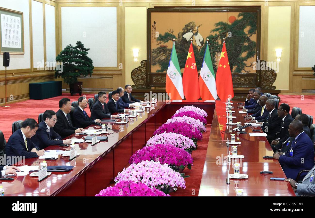 Guinea president meting hi-res stock photography and images - Alamy