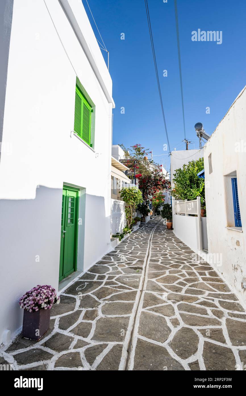 White Cycladic houses with colourful shutters and doors, alleys of the ...