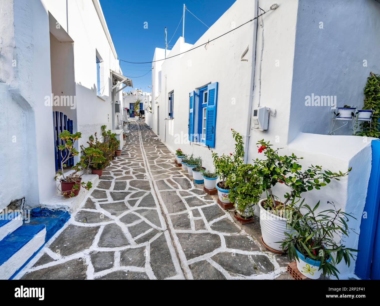 White Cycladic houses with colourful shutters and doors and flower pots ...
