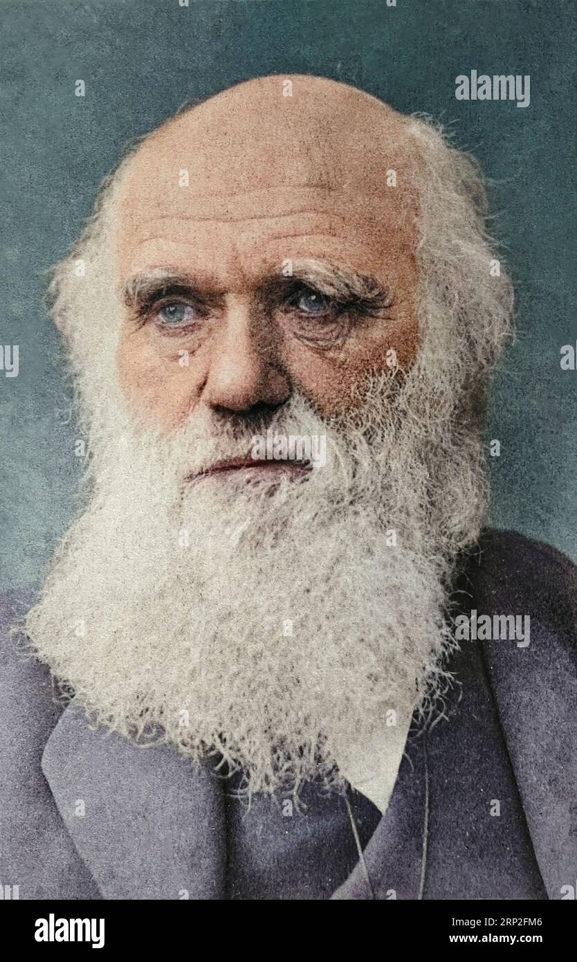 Charles Darwin. circa 1881 Stock Photo - Alamy