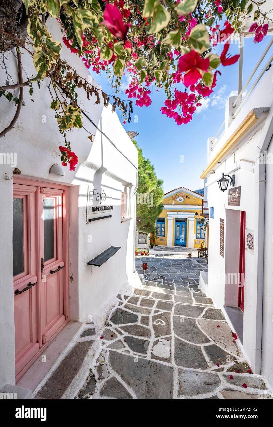 White Cycladic houses with bougainvillea and colourful doors and ...