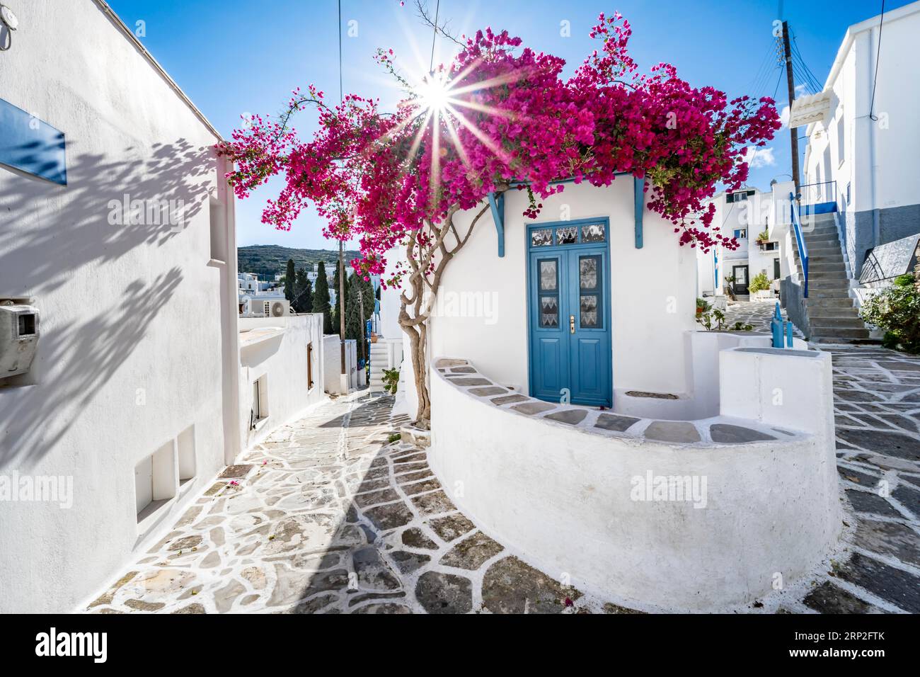 White Cycladic house with blue door and pink bougainvillea, with sun ...